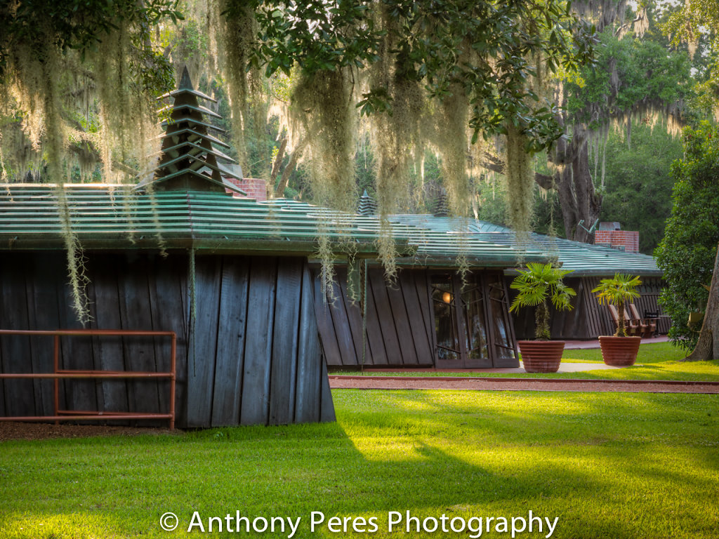 Auldbrass Plantation - Anthony Peres
